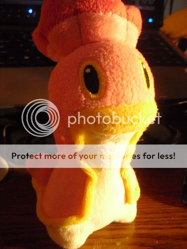 Collection Update: pkmncollectors — LiveJournal